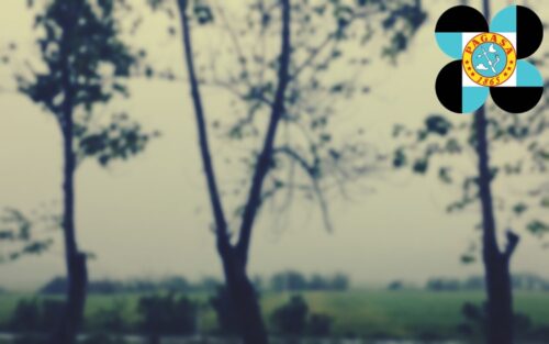 PAGASA: Tropical Storm Leon Decelerates, Signal No. 1 Up Over Parts of ...