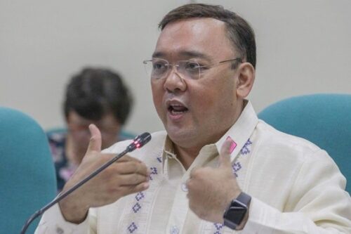 Hontiveros Questions POGO Link in Harry Roque Alleged Escape | PhilNews