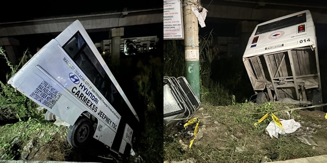 Mini-Bus 'Flies Off' Bridge on MacArthur Highway; 2 Dead | PhilNews
