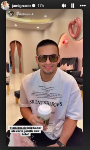 Karla Estrada Shares Intriguing Posts Amid Jam Ignacio-Jellie Aw Issue ...