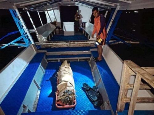 Russian Diver Die in Batangas Scuba Diving Due to Alleged Shark Attack ...