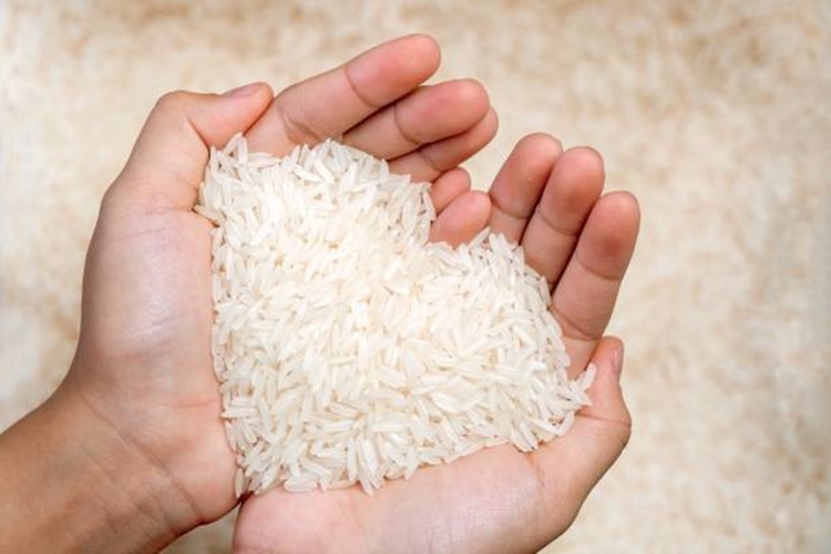 DA Ensures Quality of Affordable Rice for Visayas at P20 per Kilo ...