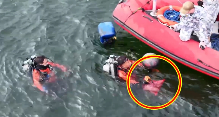 Bones Found in Taal Lake: Can They Help Identify the Missing Sabungeros? | PhilNews