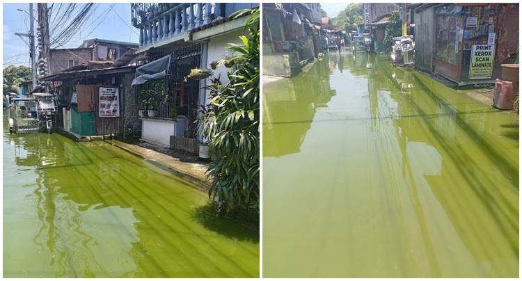 Laguna Flood Turns Green “Matcha Flavor to” | PhilNews