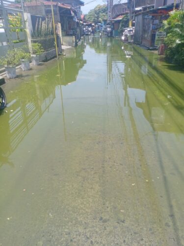 Laguna Flood Turns Green “Matcha Flavor to” | PhilNews