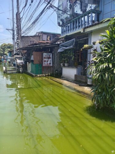 Laguna Flood Turns Green “Matcha Flavor to” | PhilNews