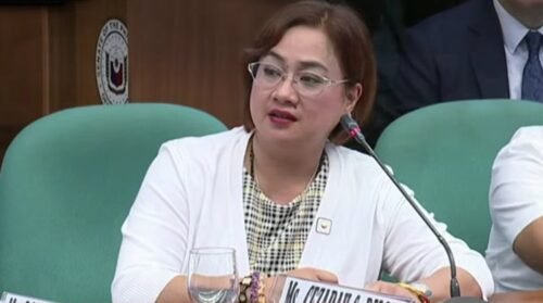 Flood Control Contractor Sarah Discaya Breaks Silence on Viral DPWH ...