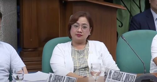 Malacañang on Chaotic Protest Outside Discaya Family Residence | PhilNews