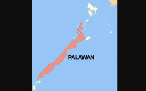 Shocking Animal Abuse Case Rocks El Nido After Teen Targets Carabao ...