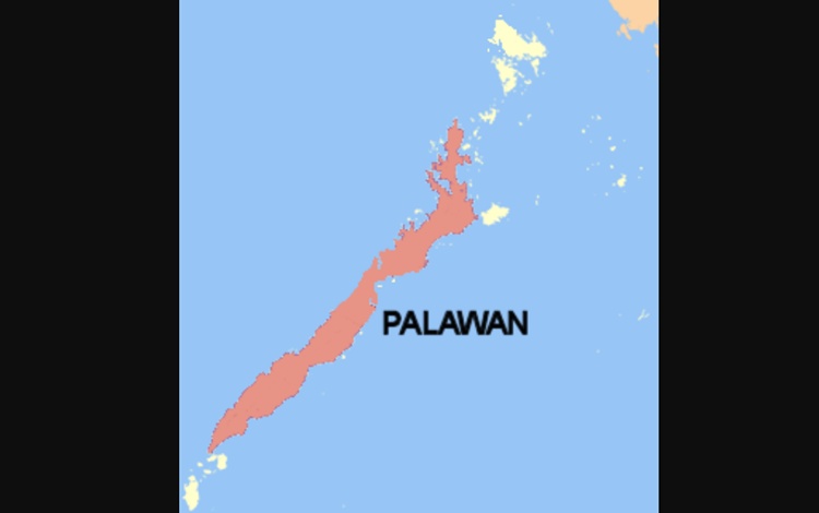 Shocking Animal Abuse Case Rocks El Nido After Teen Targets Carabao ...